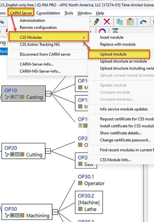 CARM ® Server - APiS North America